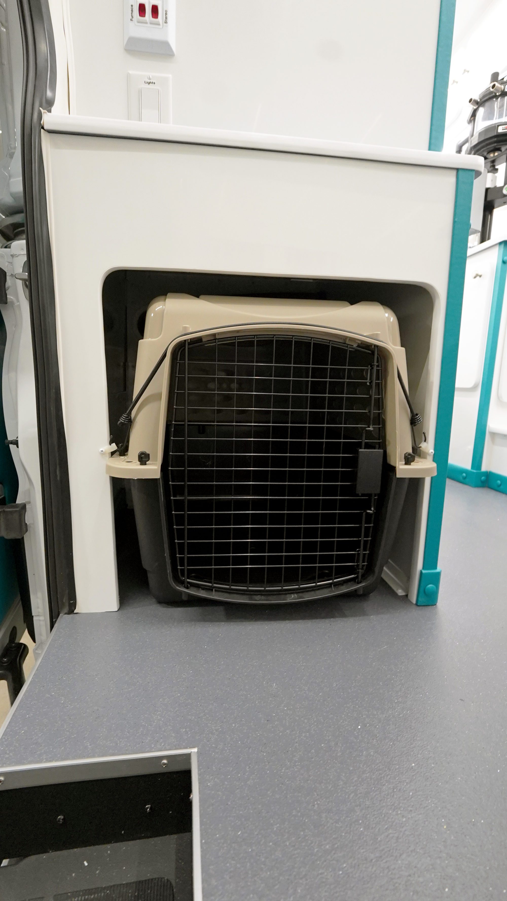 The Dyna, Mobile Pet Care Cargo Van | Wag'n Tails Mobile Vet Clinics