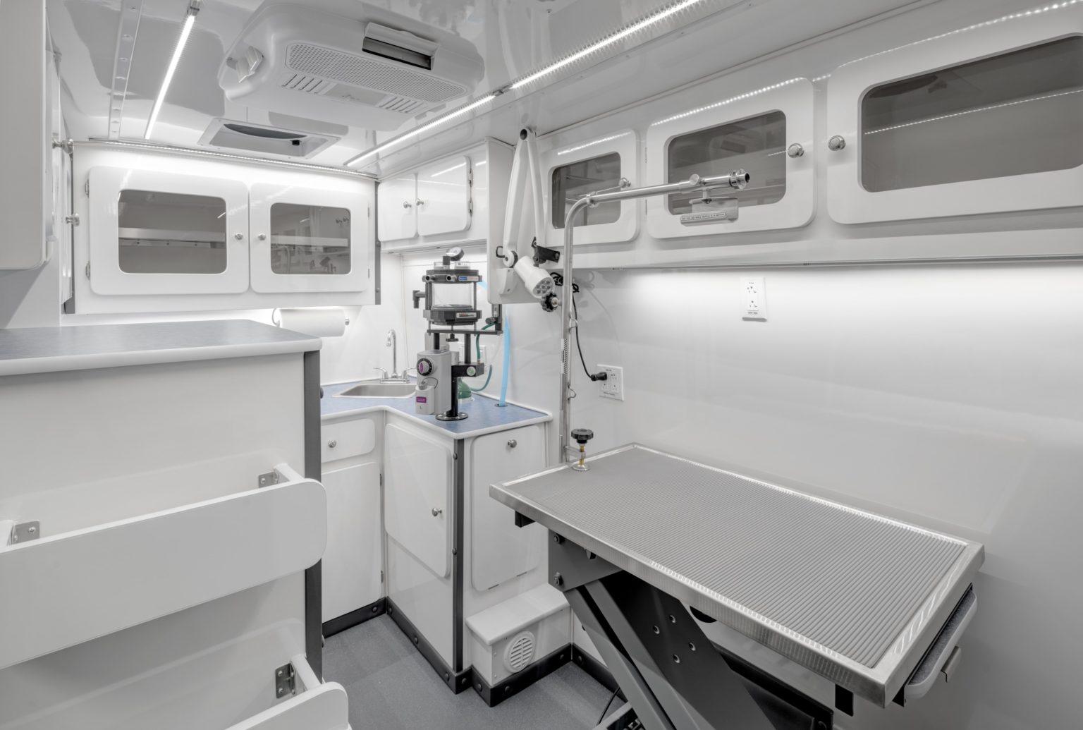 The Dyna, Mobile Pet Care Cargo Van | Wag'n Tails Mobile Vet Clinics