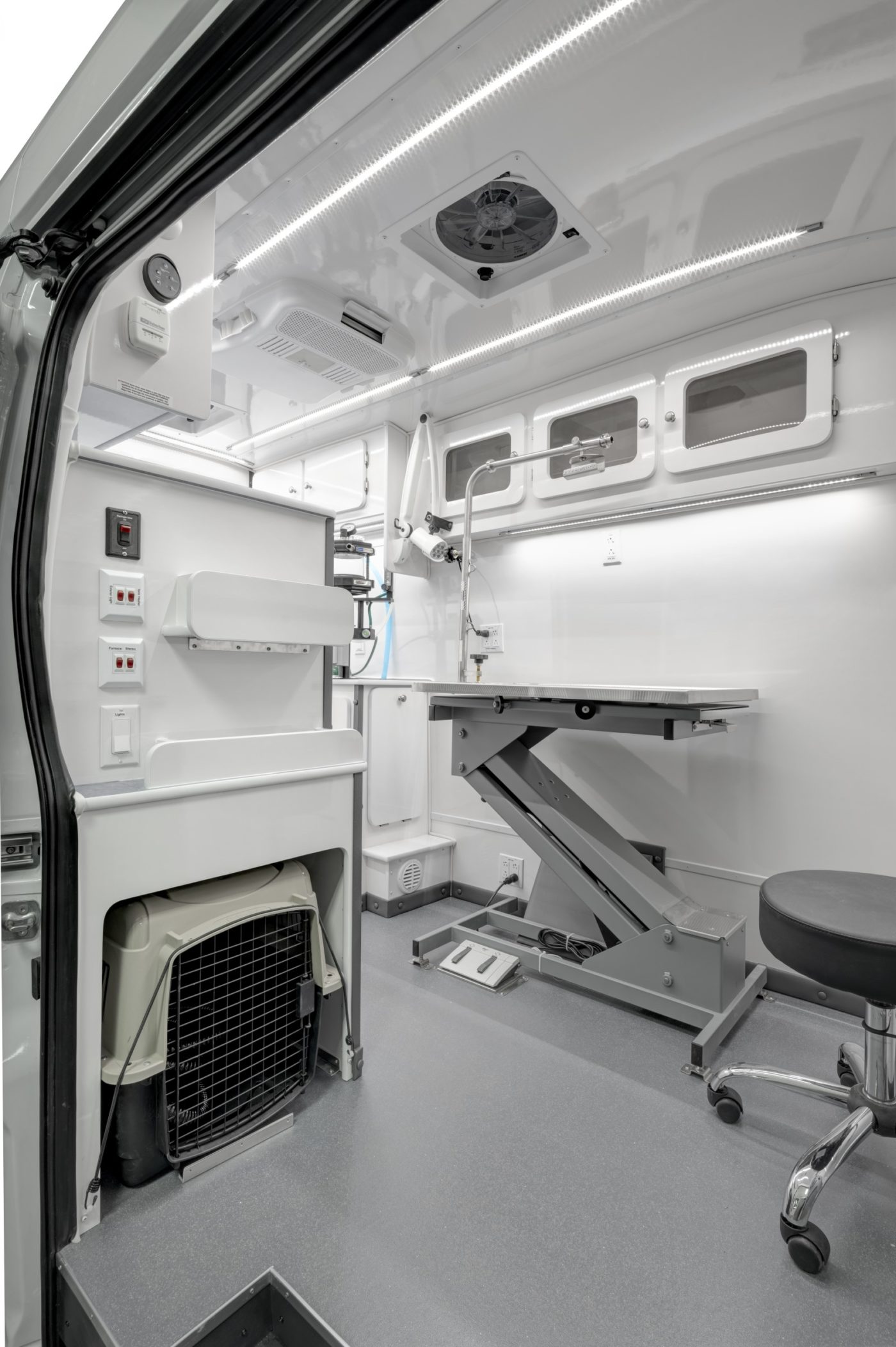 The Dyna, Mobile Pet Care Cargo Van | Wag'n Tails Mobile Vet Clinics