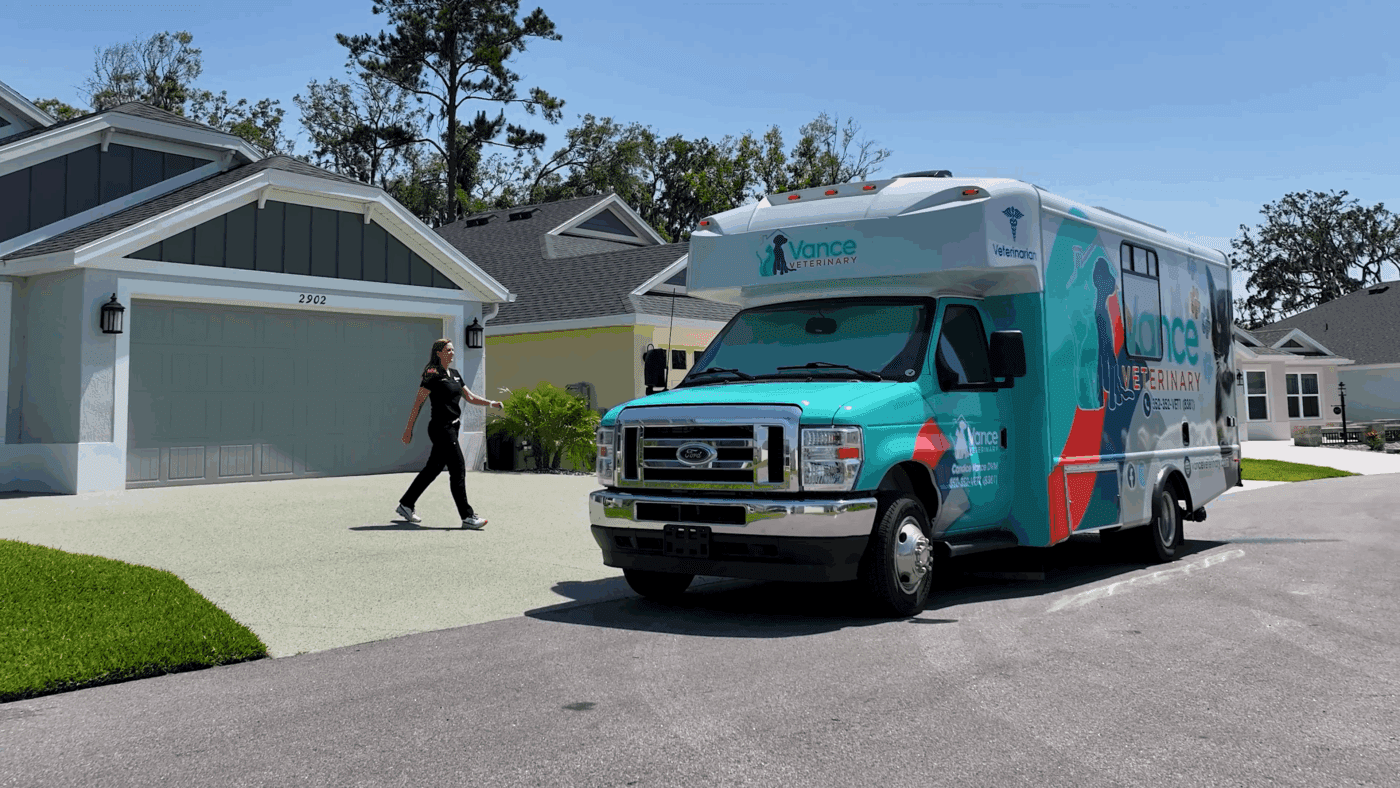 Why Buying a Mobile Pet Care Van Before Year-End Could Save You ...